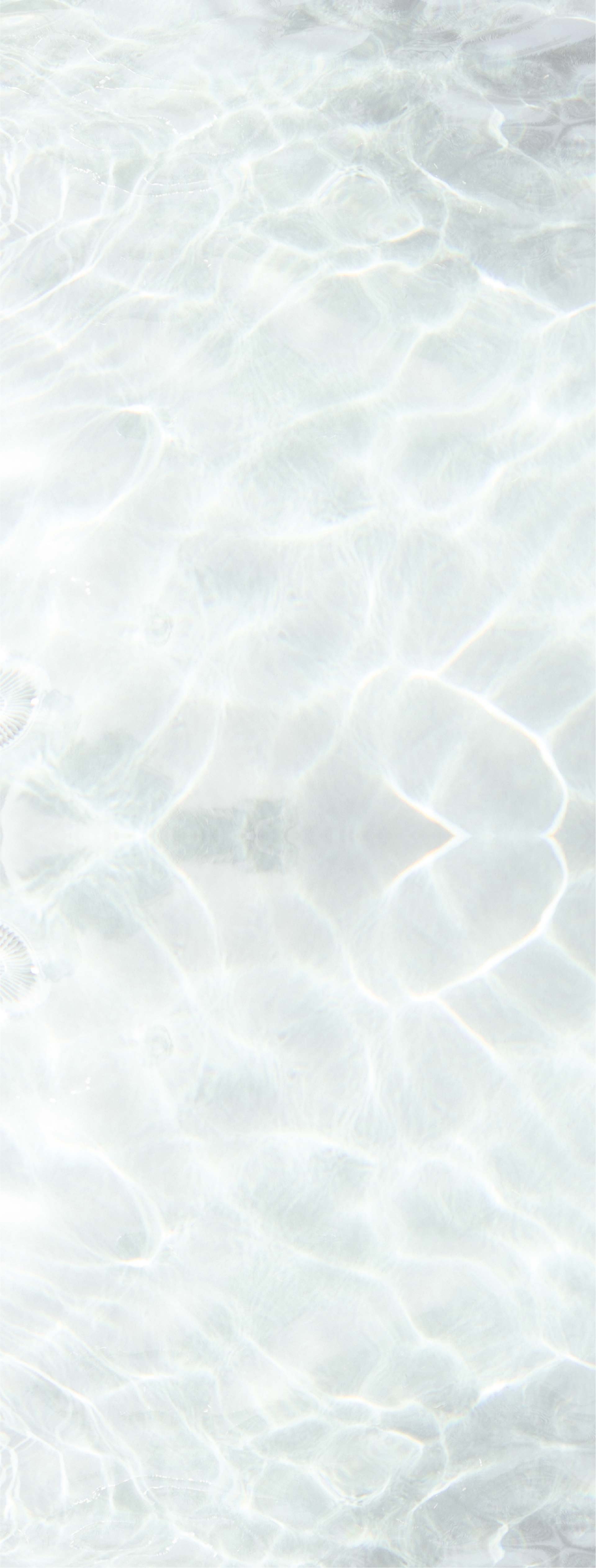 water | REBIRTH PROJECT | 株式会社Social Plastik